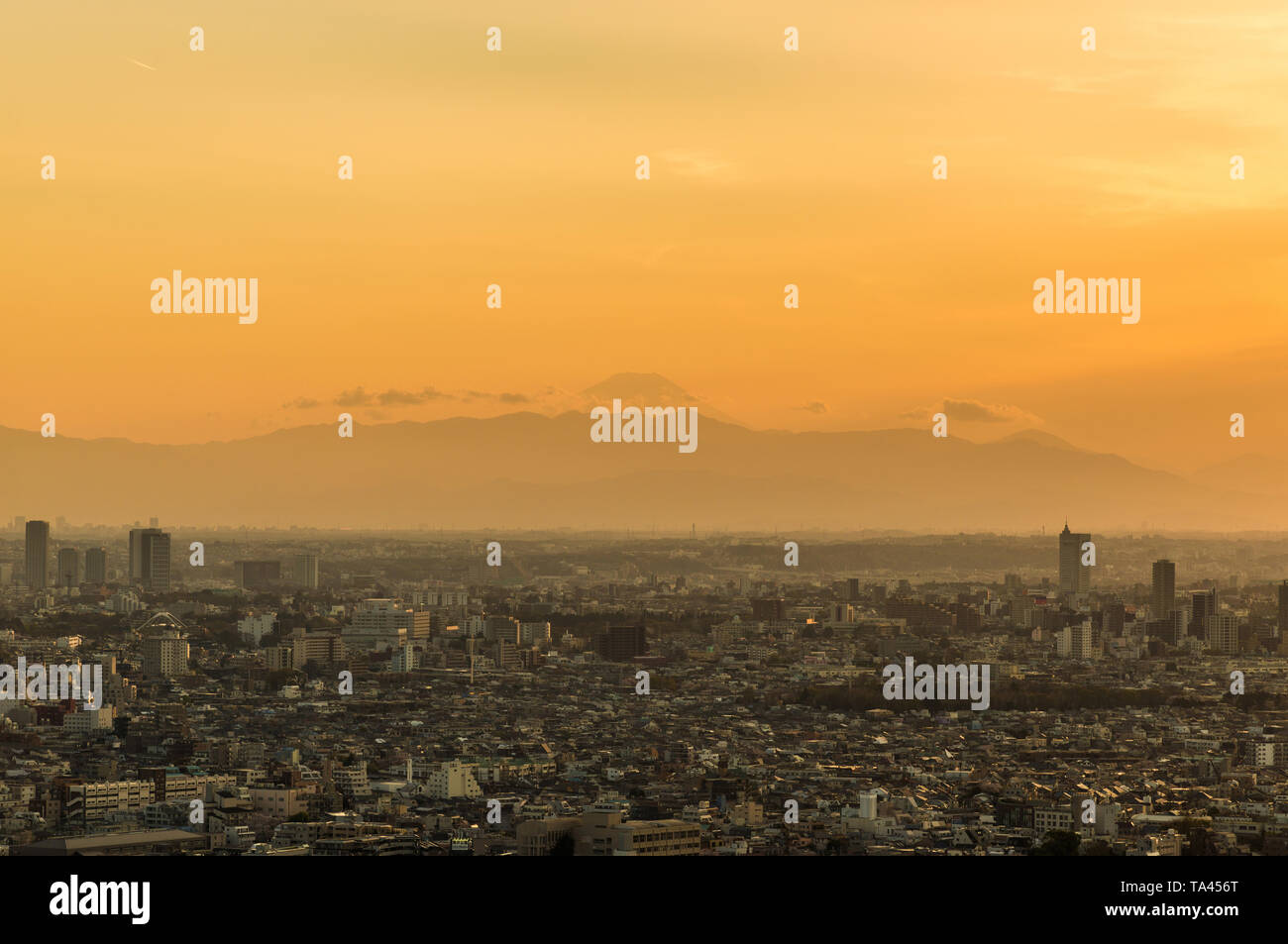 The mist house tokyo hi-res stock photography and images - Alamy