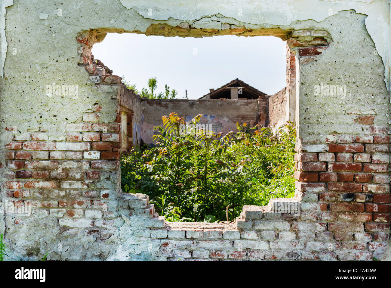 Ruins window and walls of old the house without roof and grass growing ...