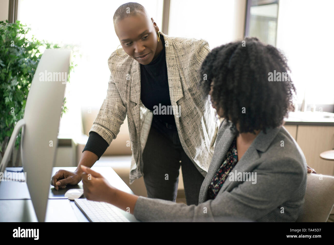 Black African American businesswomen or coworkers together in an office ...