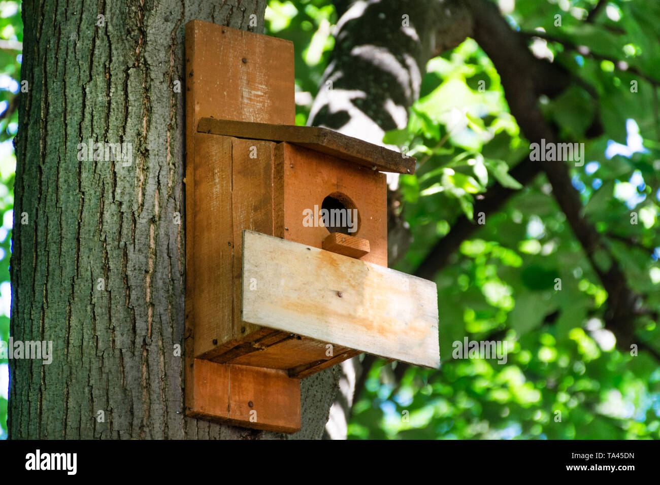 Brown wooden birdhouse on a tree in forest park on a spring day, hand ...