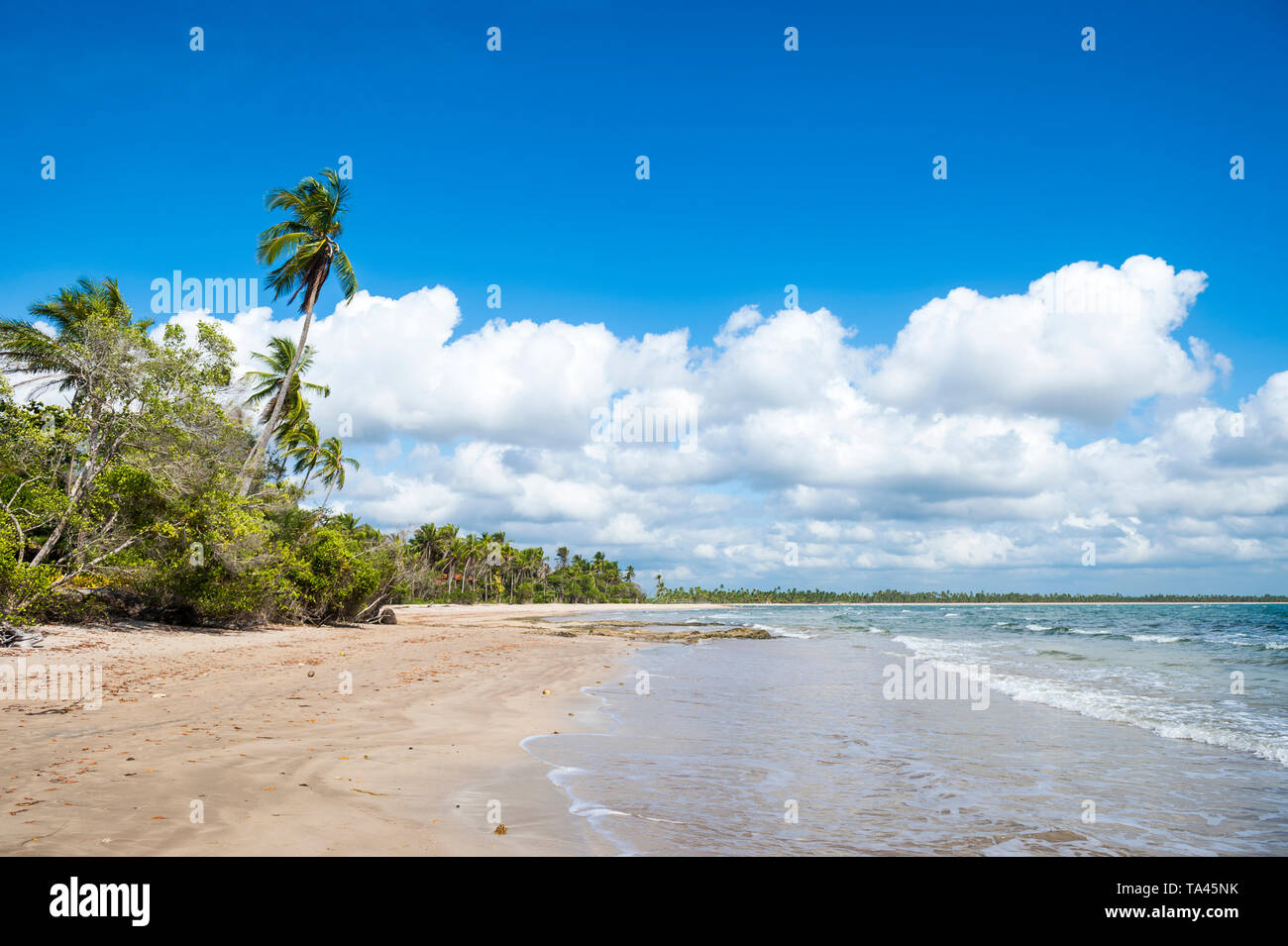 Bright scenic view of an empty, palm-fringed tropical beach on the ...
