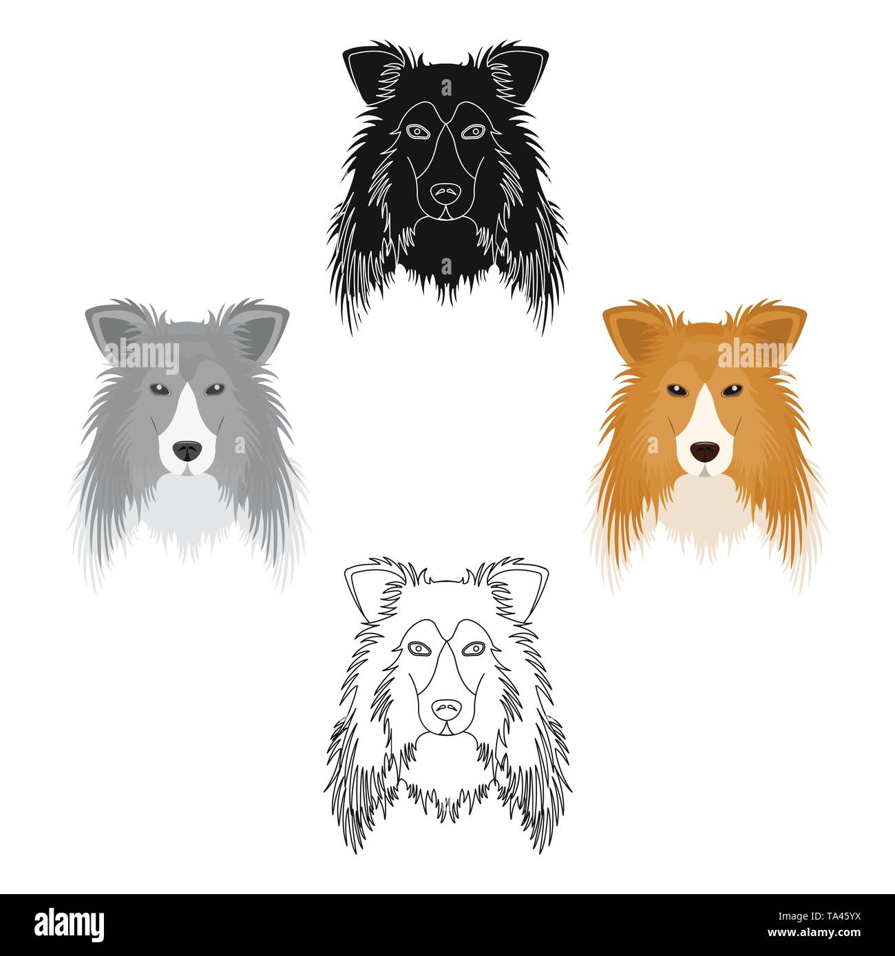animal,breed,cartoon,black,collie,colly,different,dog,haired,head,icon ...