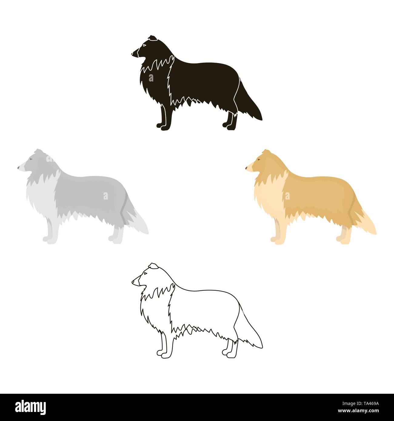 Rough collie Stock Vector Images - Alamy