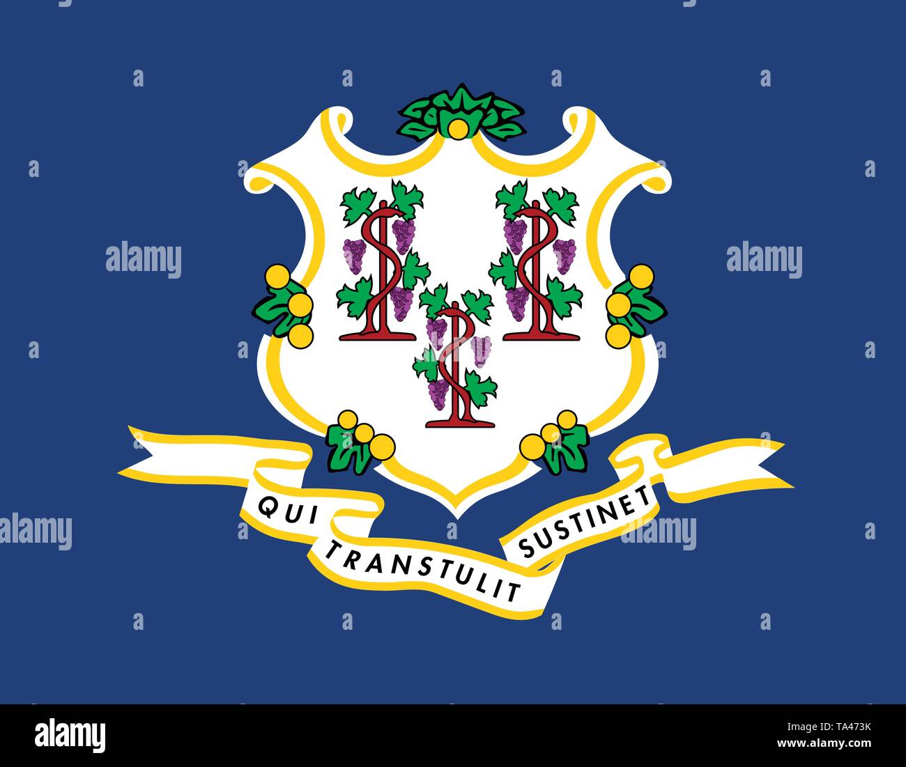 Connecticut vector flag. Vector illustration. United States of America ...