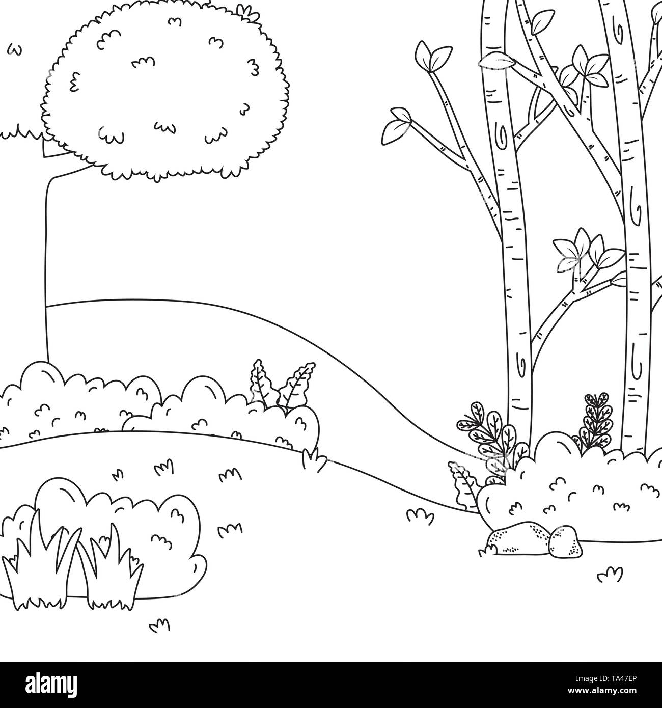 Trees in forest design, Green environment nature landscape and foliage ...