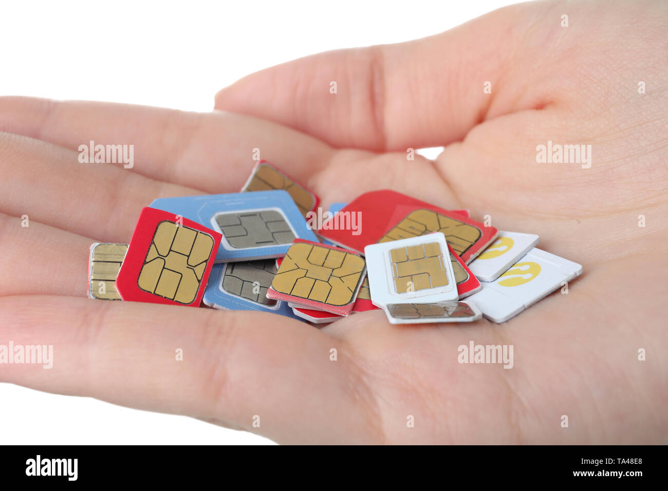 Female hand holding sim cards on white background, closeup Stock Photo ...