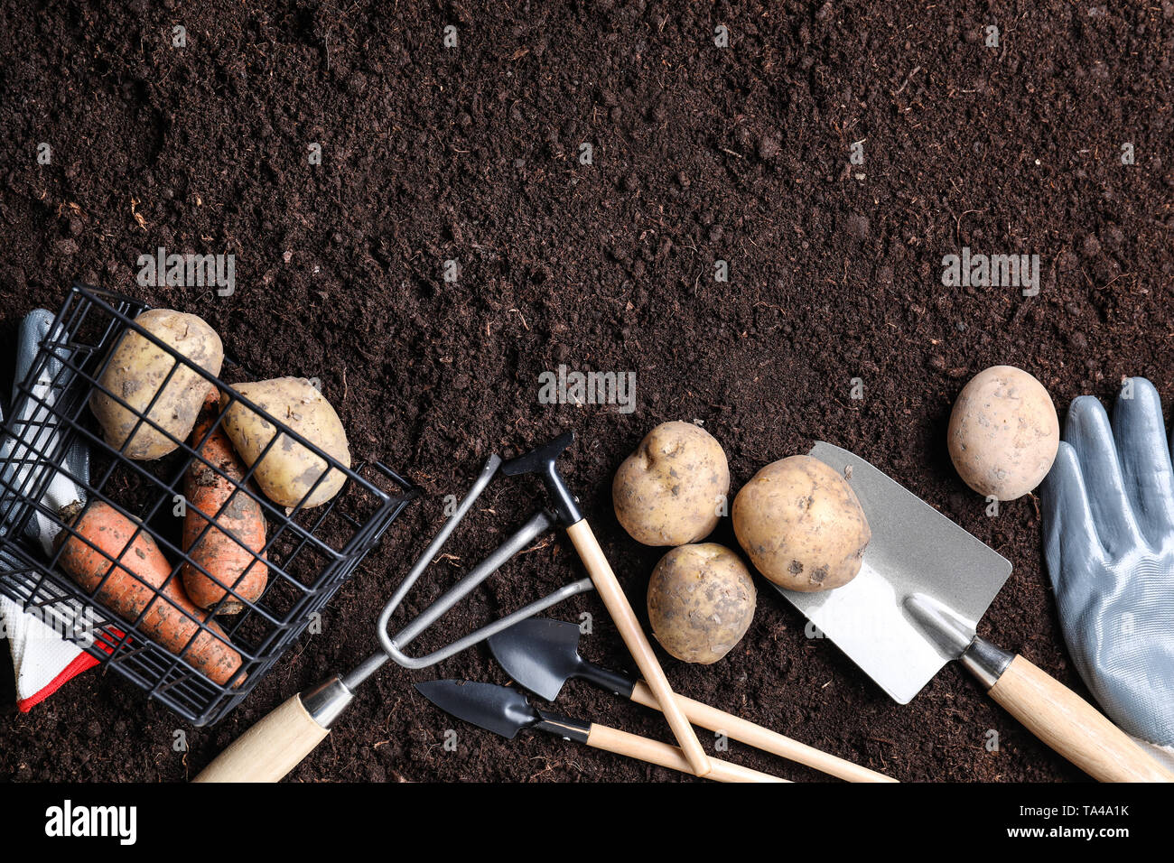 Shovel rake harvest tools hi-res stock photography and images - Alamy