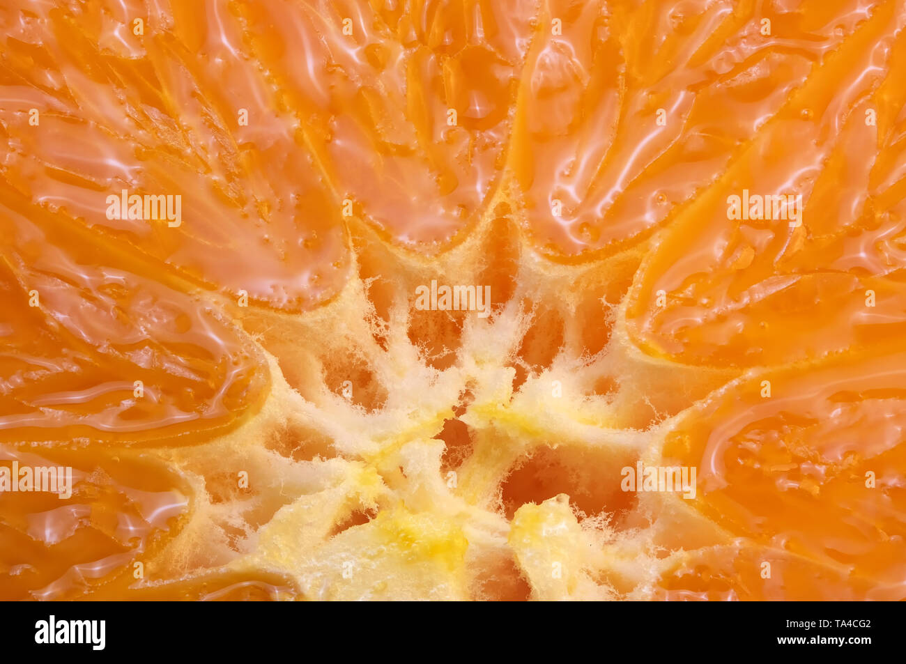Sliced mandarin close-up full frame macro photo with great depth of ...