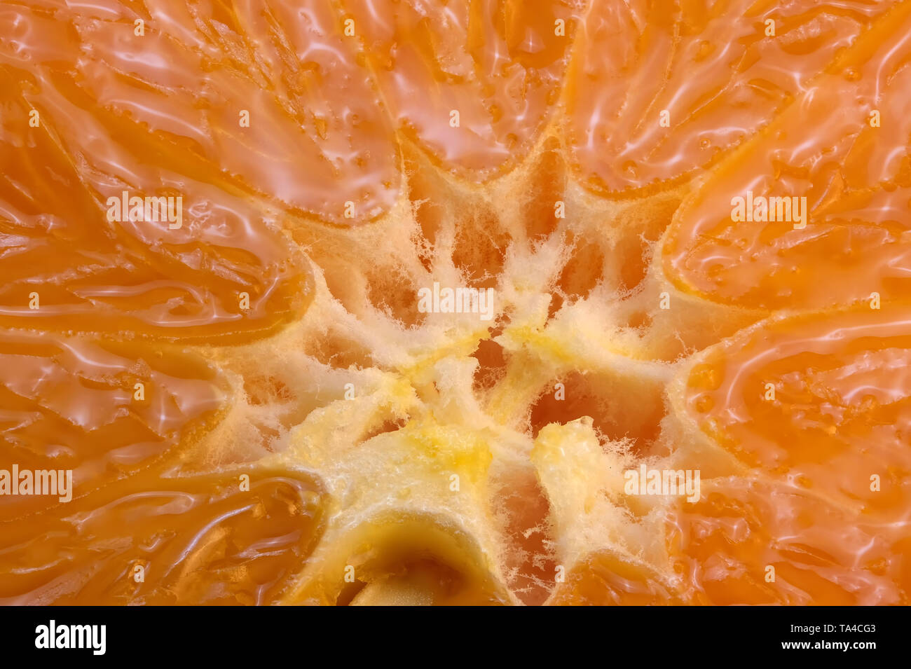 Sliced mandarin close-up full frame macro photo with great depth of ...