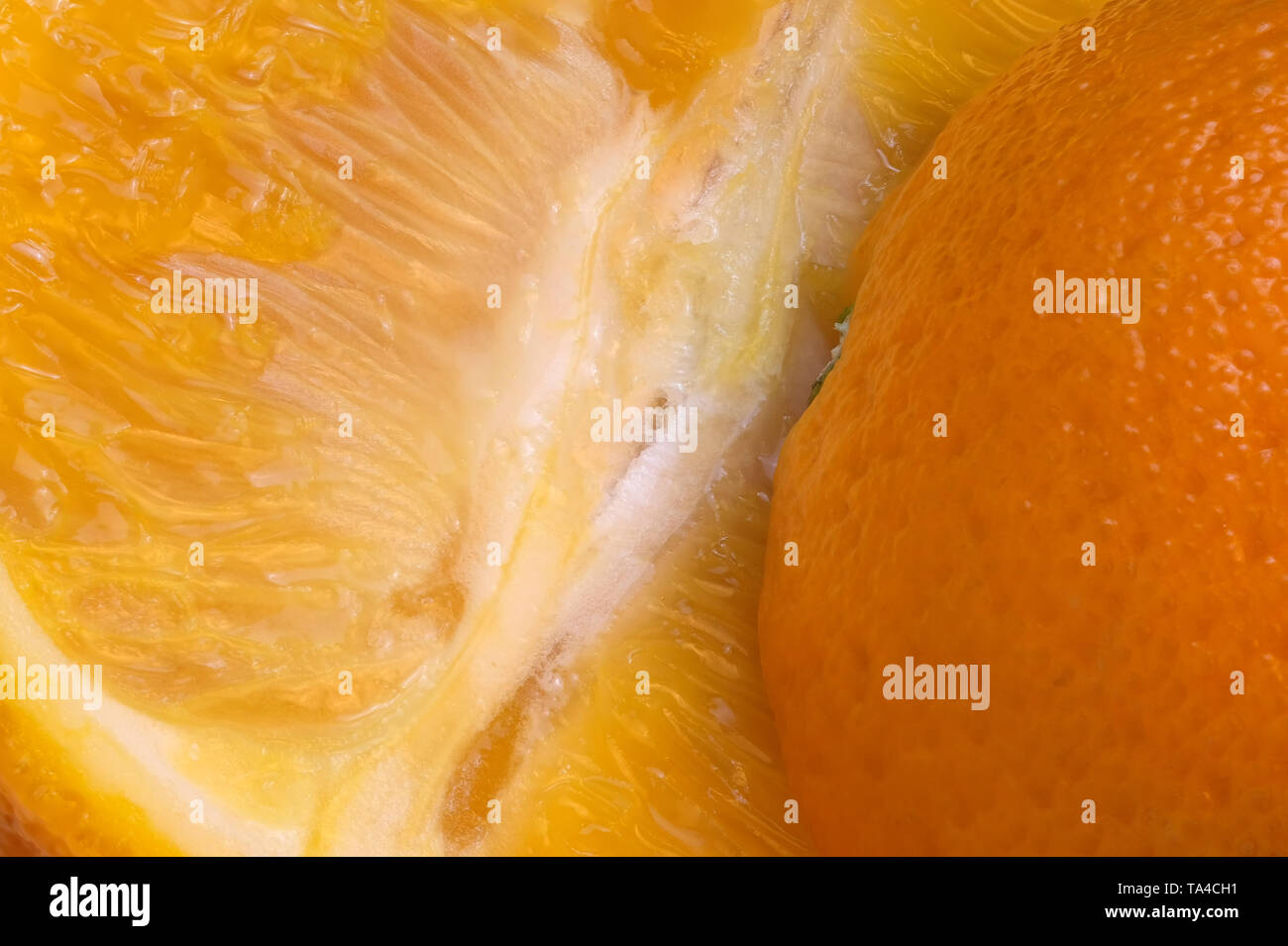 Sliced orange close-up full frame macro photo with great depth of field ...