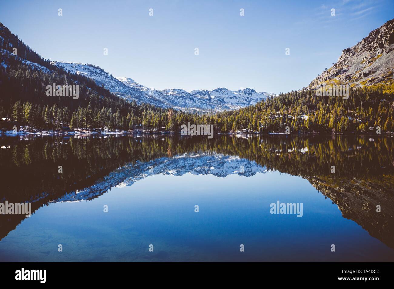 The shore or Fallen Leaf Lake and its still water with beautiful ...