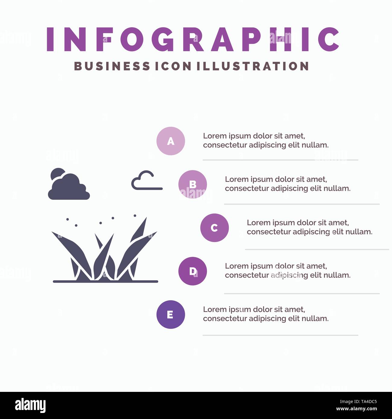 Summer grasses texture Cut Out Stock Images & Pictures - Alamy