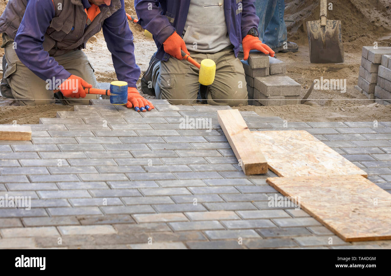 The workers lay the paving slab with special hammers, leveling it ...