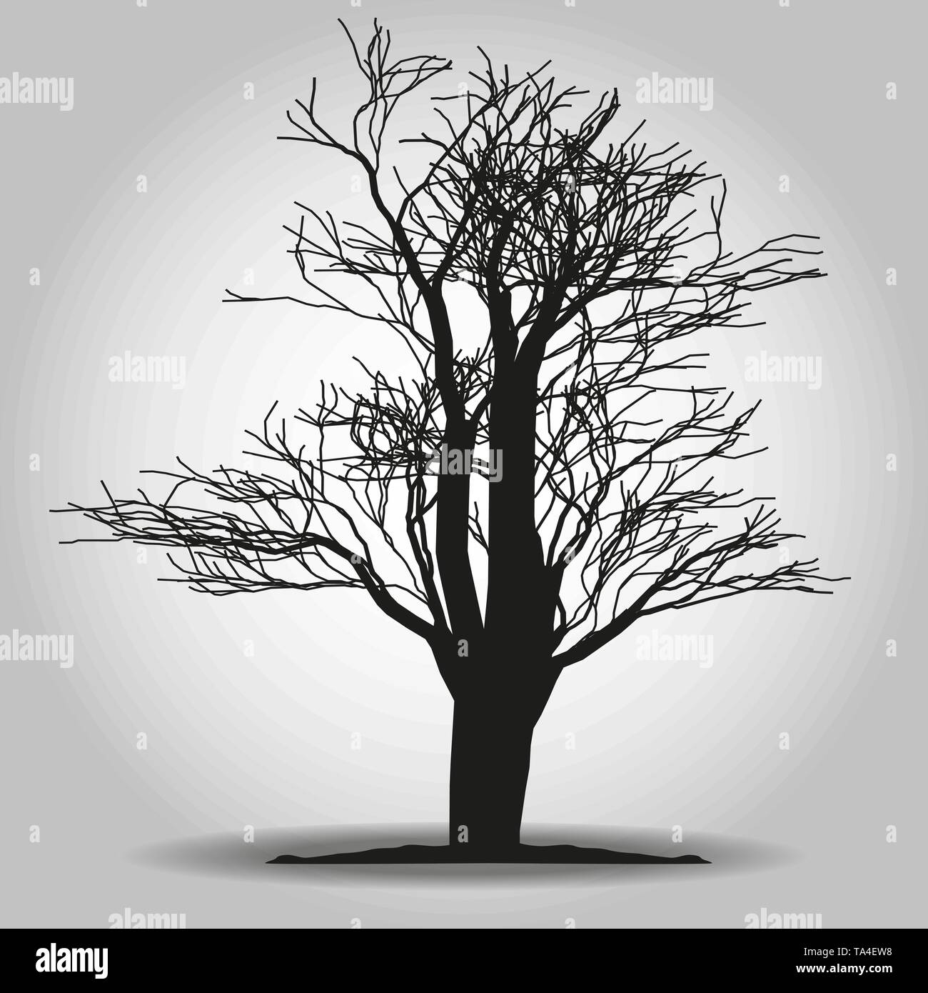Tree icon. Forest symbol. Flat web sign on white background. Vector ...