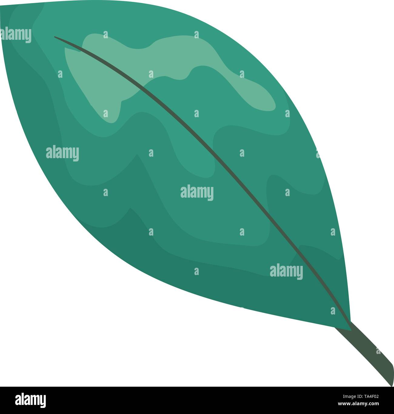 ecology leaf plant icon Stock Vector Image & Art - Alamy