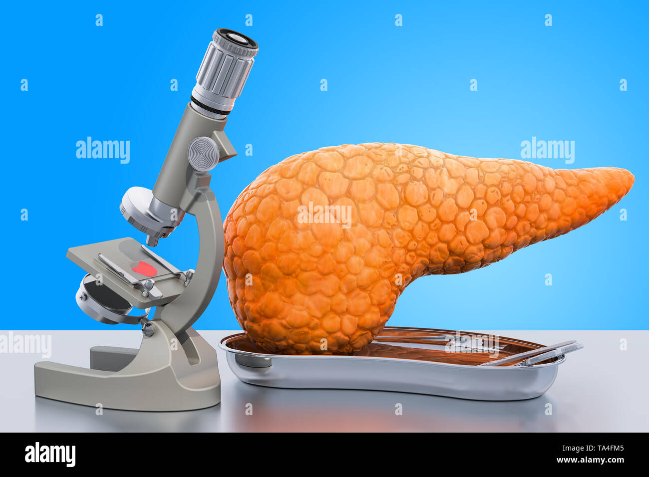 Research and diagnostics of pancreatic disease concept. Laboratory ...