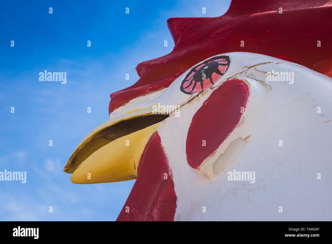 Fiberglass chicken statue for a defunt fried chicken restaurant. Found ...