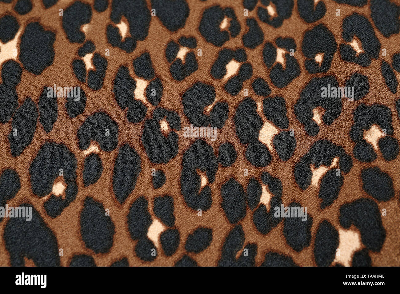 Leopard print detail hi-res stock photography and images - Alamy