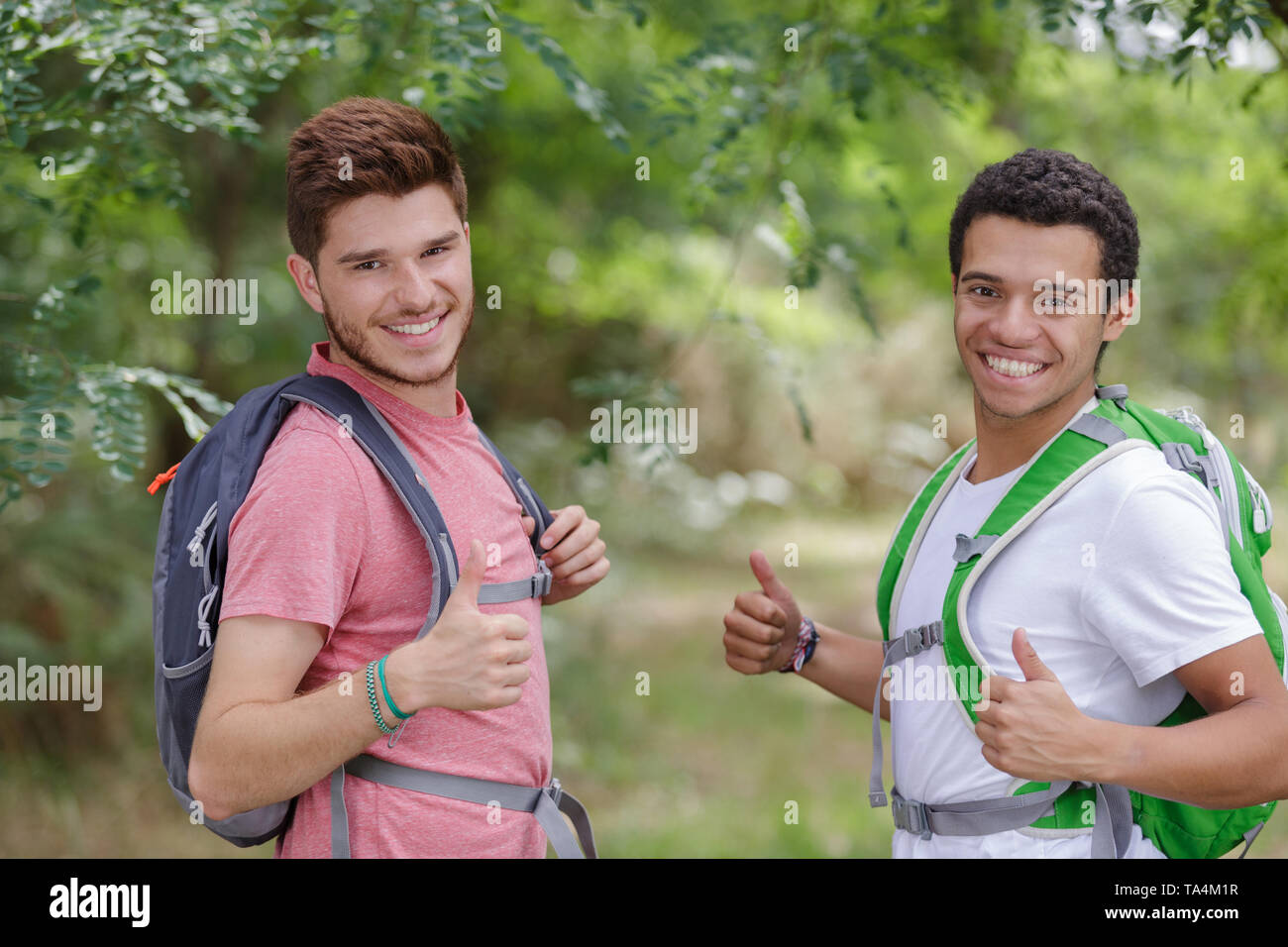 Two backpackers in summer mountain hi-res stock photography and images ...