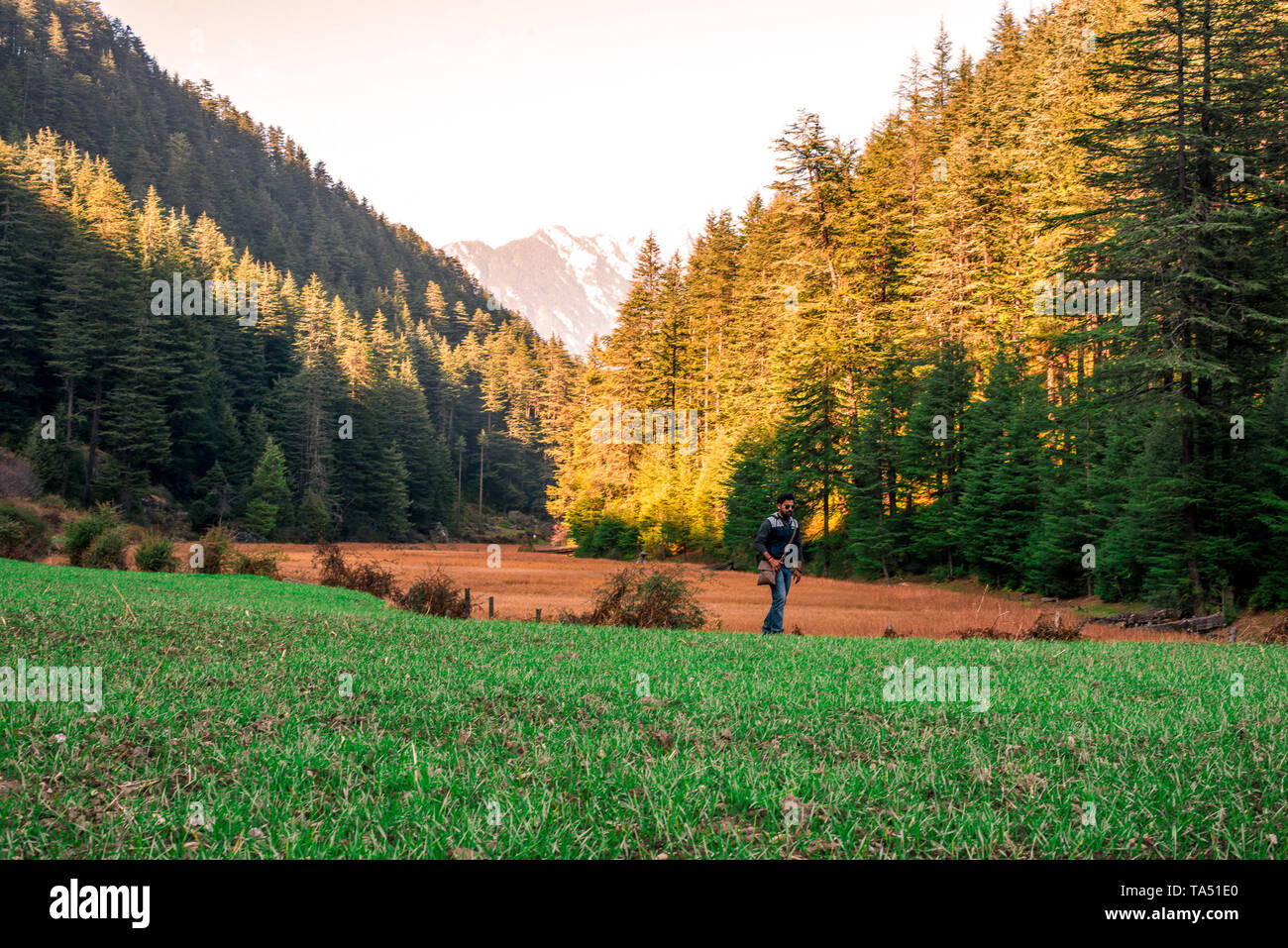 Pundrik rishi lake - Photo of Field surrounded by deodar tree in ...