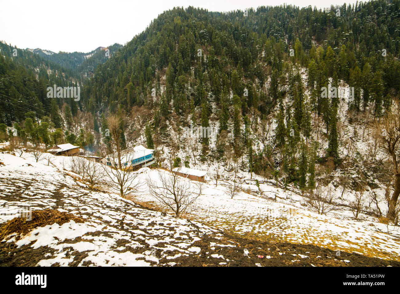 Photo of snow landscape winter in himalayas Stock Photo - Alamy