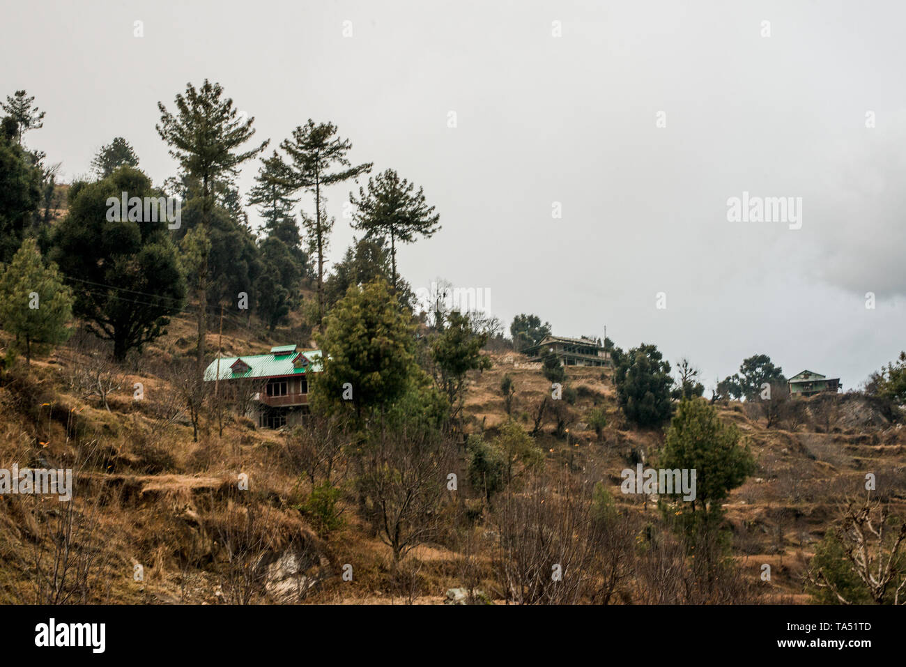 Typical wooden alpine house in himachal in himalayas - India Stock ...