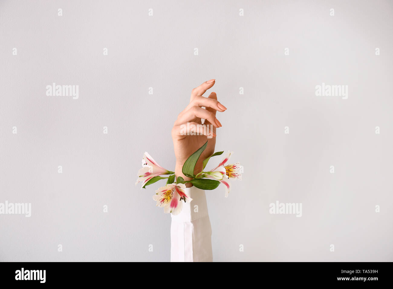 Female hand with beautiful flowers on light background Stock Photo - Alamy