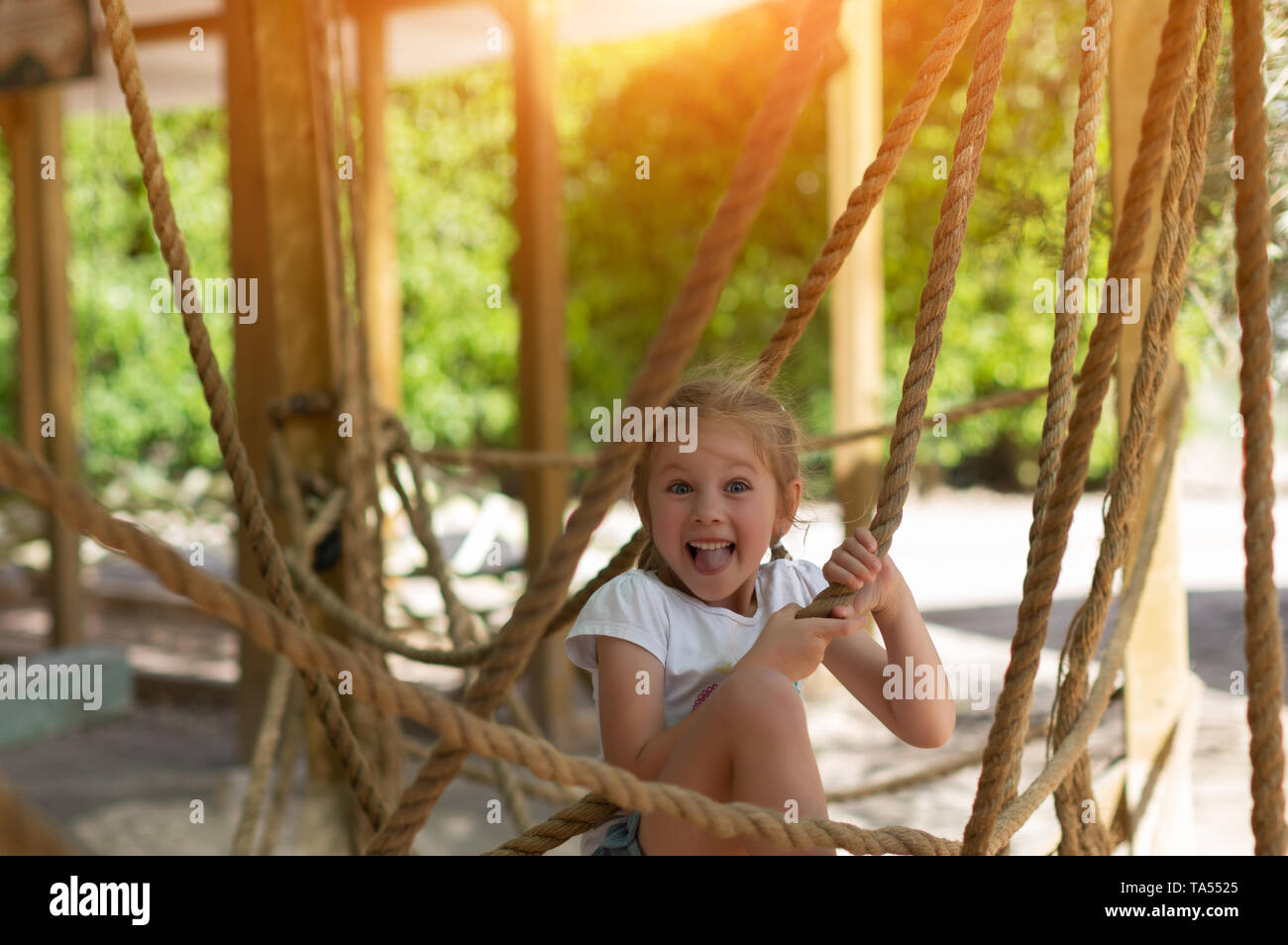 girl on the obstacle course, high ropes course, summer, joy, health ...