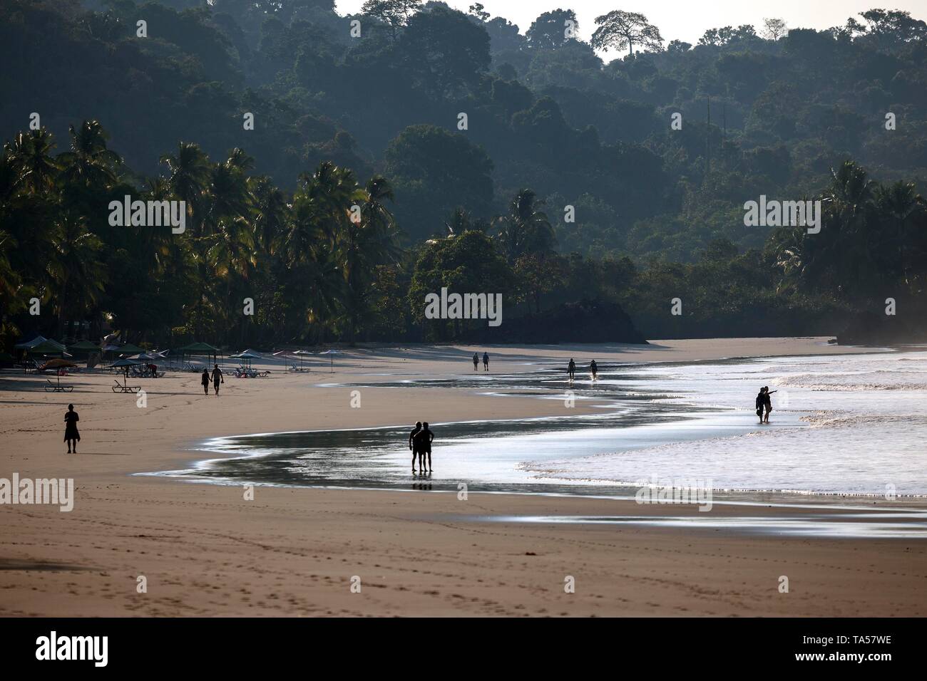 People at the Palm Beach in Backlight, Morning Light, Beach Playa ...