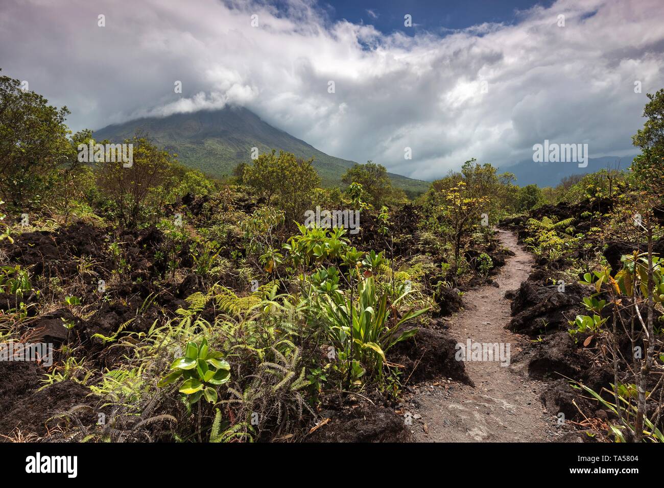 Hiking trail through lava field, back volcano Arrenal in clouds ...