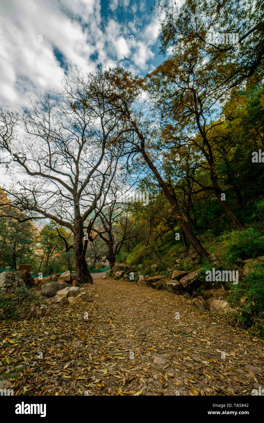 Beautiful landscape with rural road, trees with red and orange leaves ...