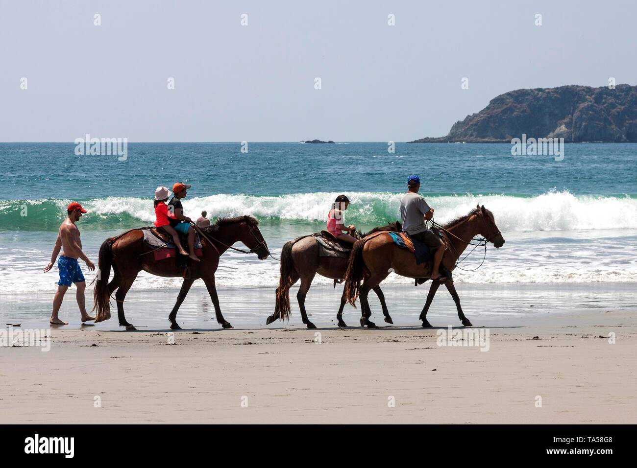 Manuel antonio costa rica horse hi-res stock photography and images - Alamy