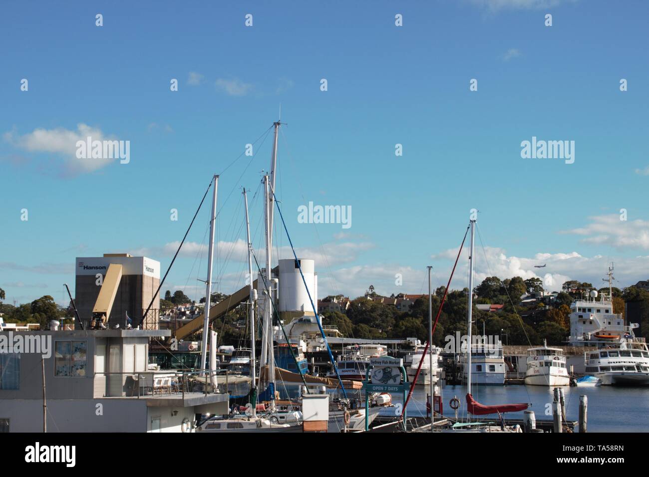 Early morning at the Sydney busy fish market Stock Photo - Alamy
