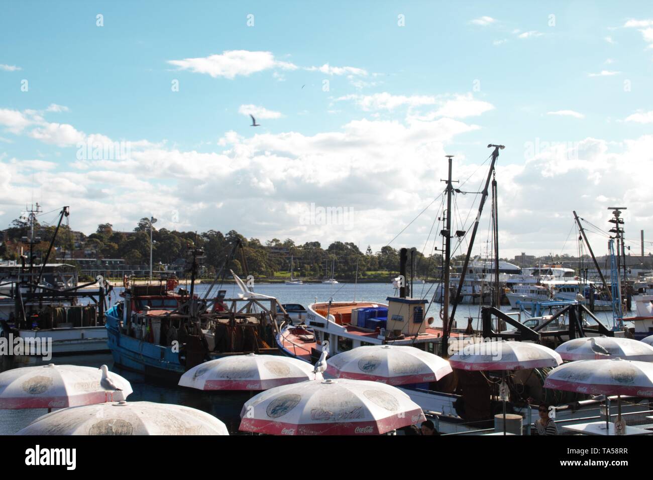 Beautiful view of the little fish market in Sydney Australia Stock ...