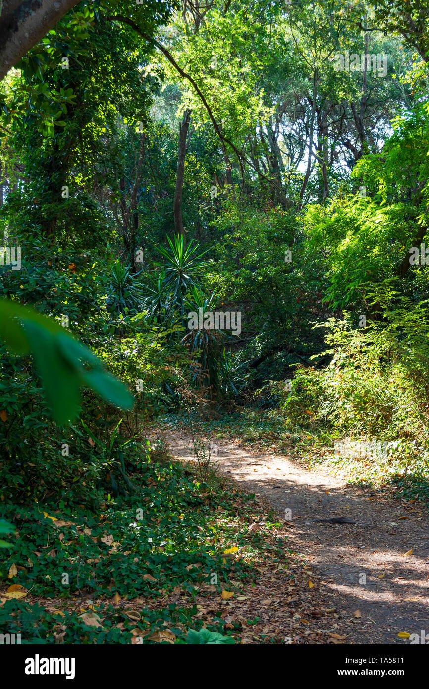 Mon repos corfu hi-res stock photography and images - Alamy