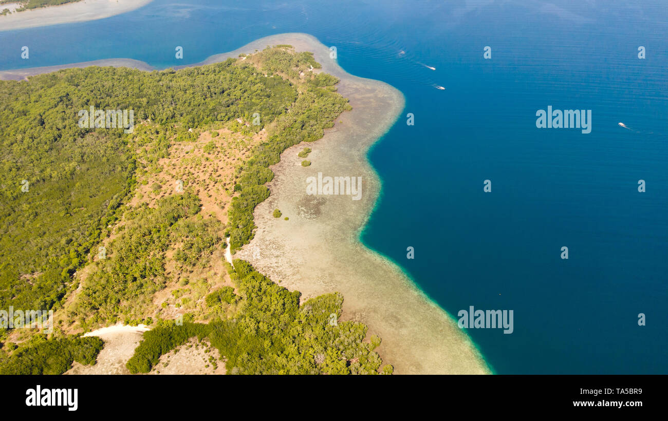 Island with tropical trees on the atoll, view from above. Seascape ...