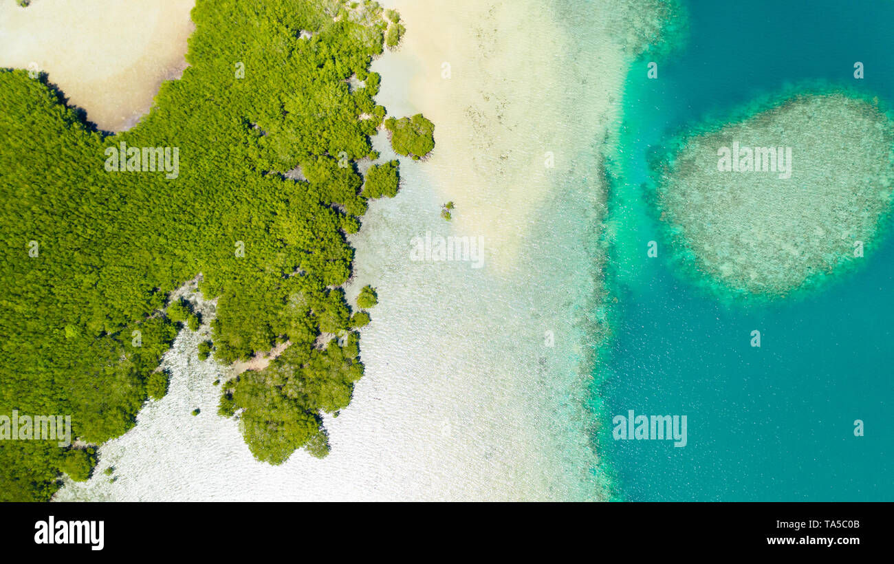 Tropical island with mangroves and turquoise lagoons on a coral reef ...