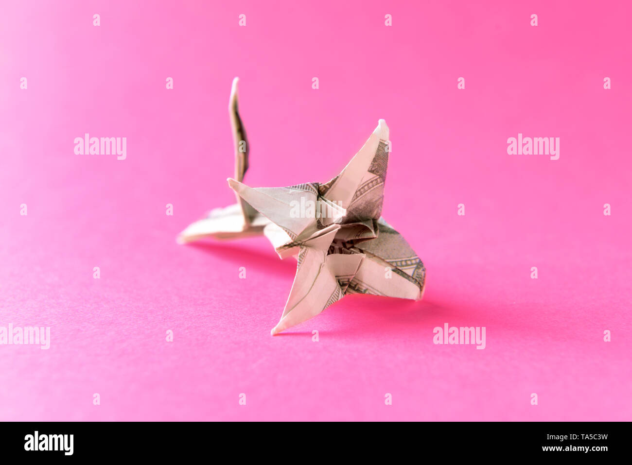 Origami flower made of dollar banknote on color background Stock Photo ...