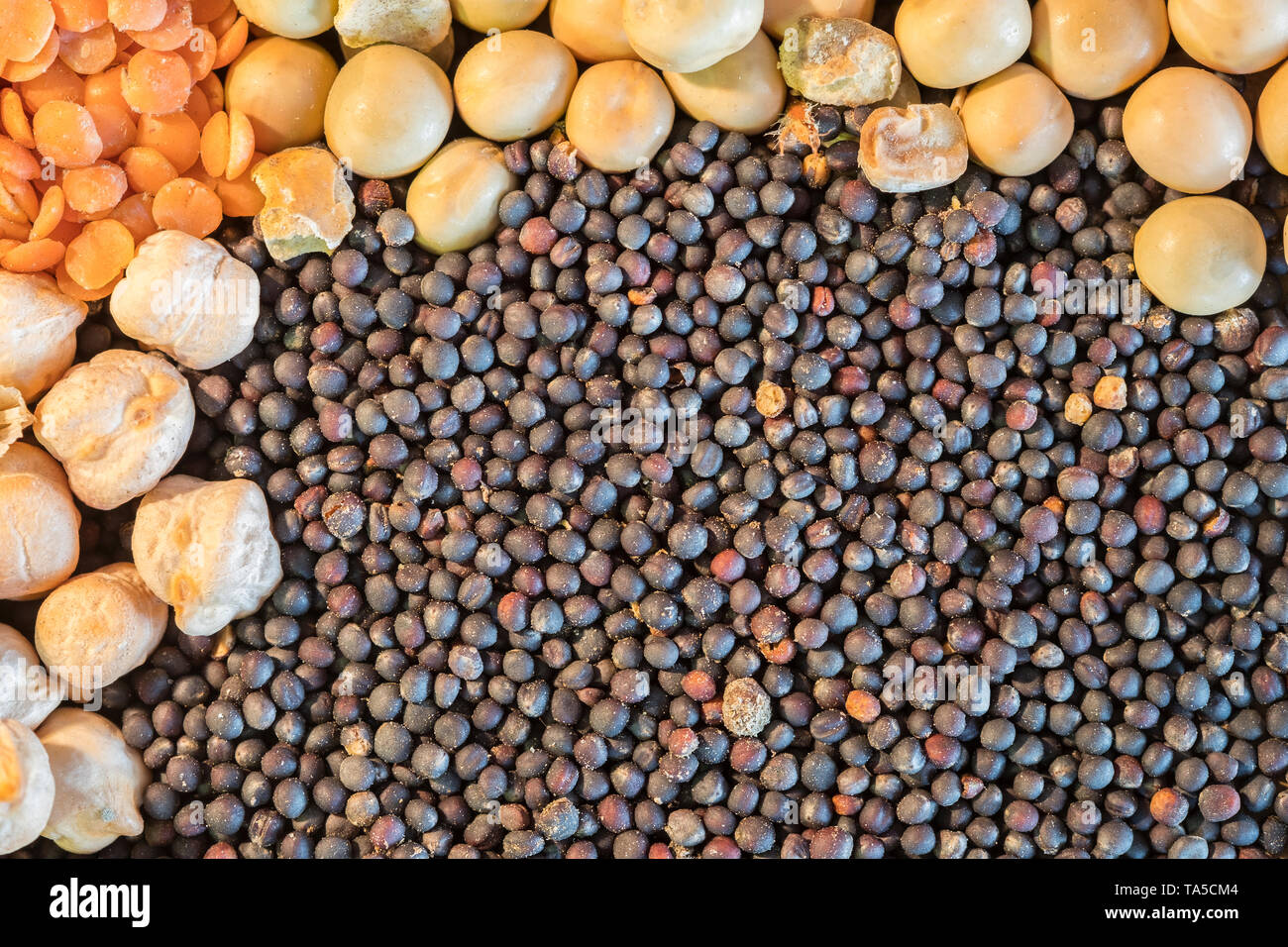 Various mixed pepper seeds hi-res stock photography and images - Alamy