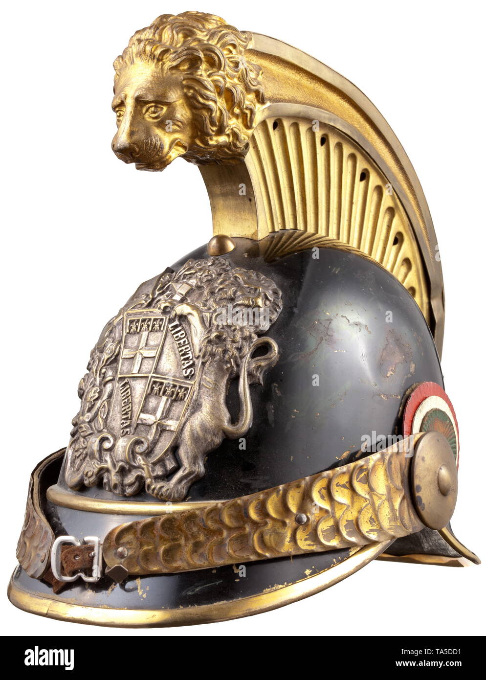 Lion Head Helmet