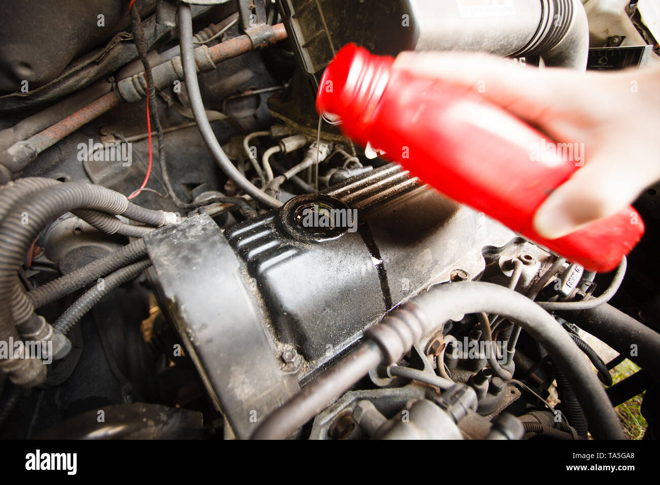 Car servicing mechanic pouring oil to engine. Closeup of fresh oil ...