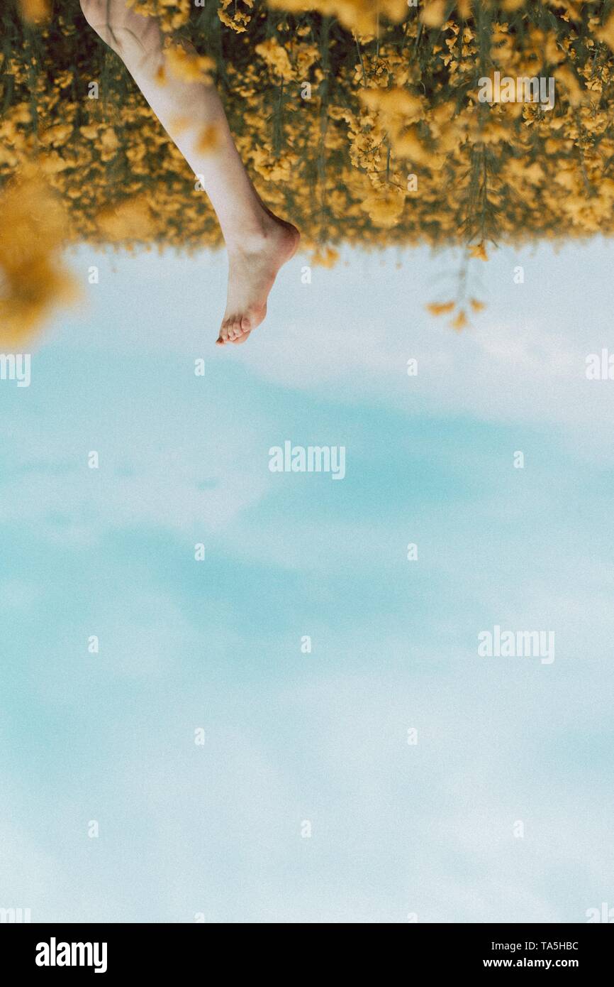 Feet upside down hi-res stock photography and images - Alamy