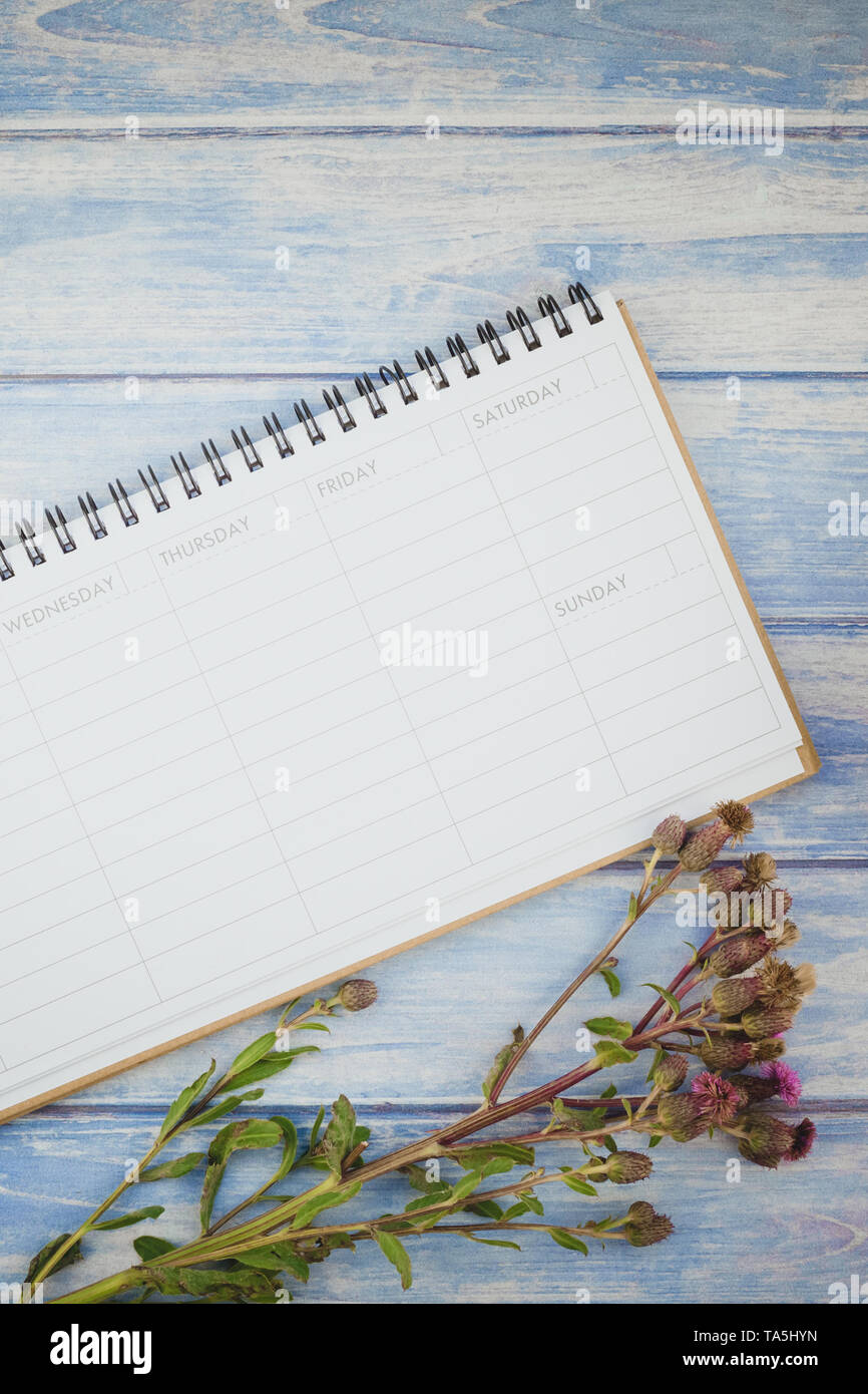 Top view of autumn dry flowers thanksgiving background over blue toned ...