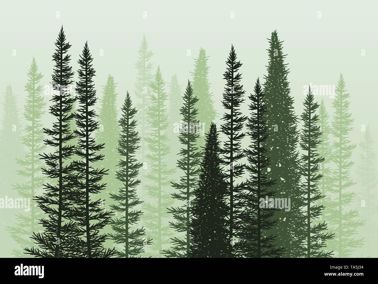 Evergreen Forest Wallpaper