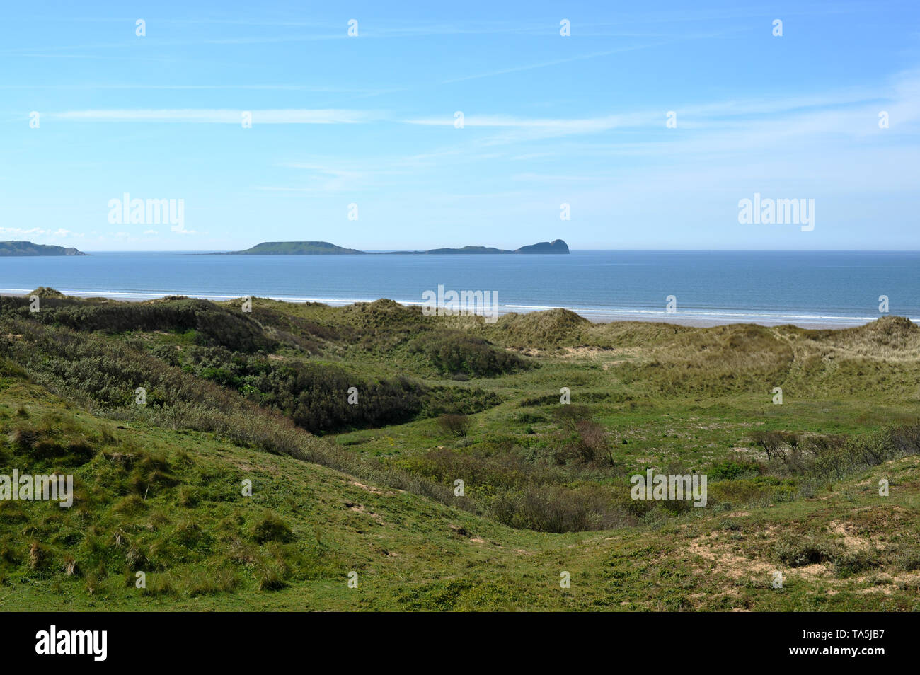 Dune stabilisation plants hi-res stock photography and images - Alamy