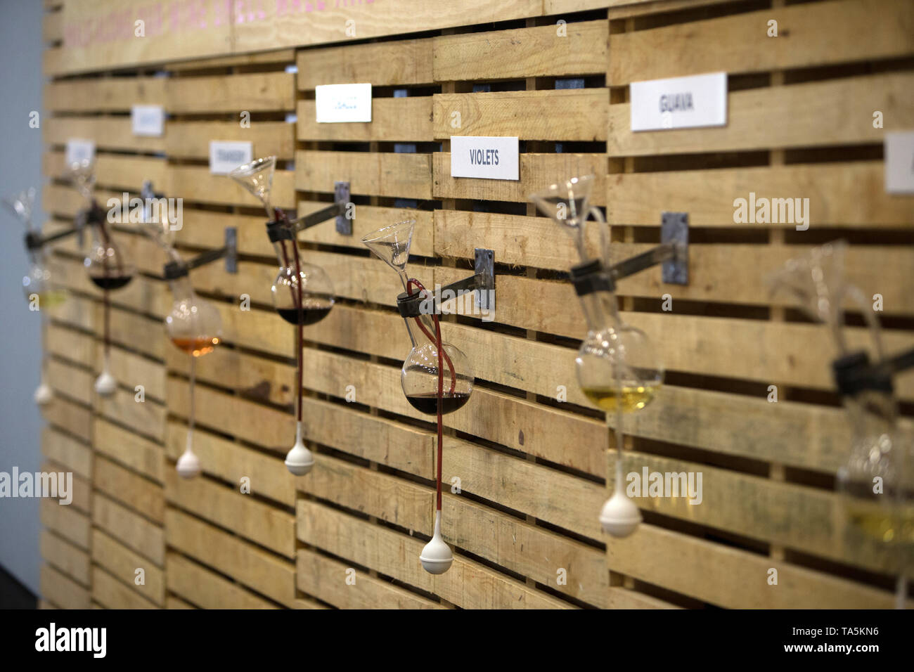 A set of beaker flasks used with wine samples used to test the ...