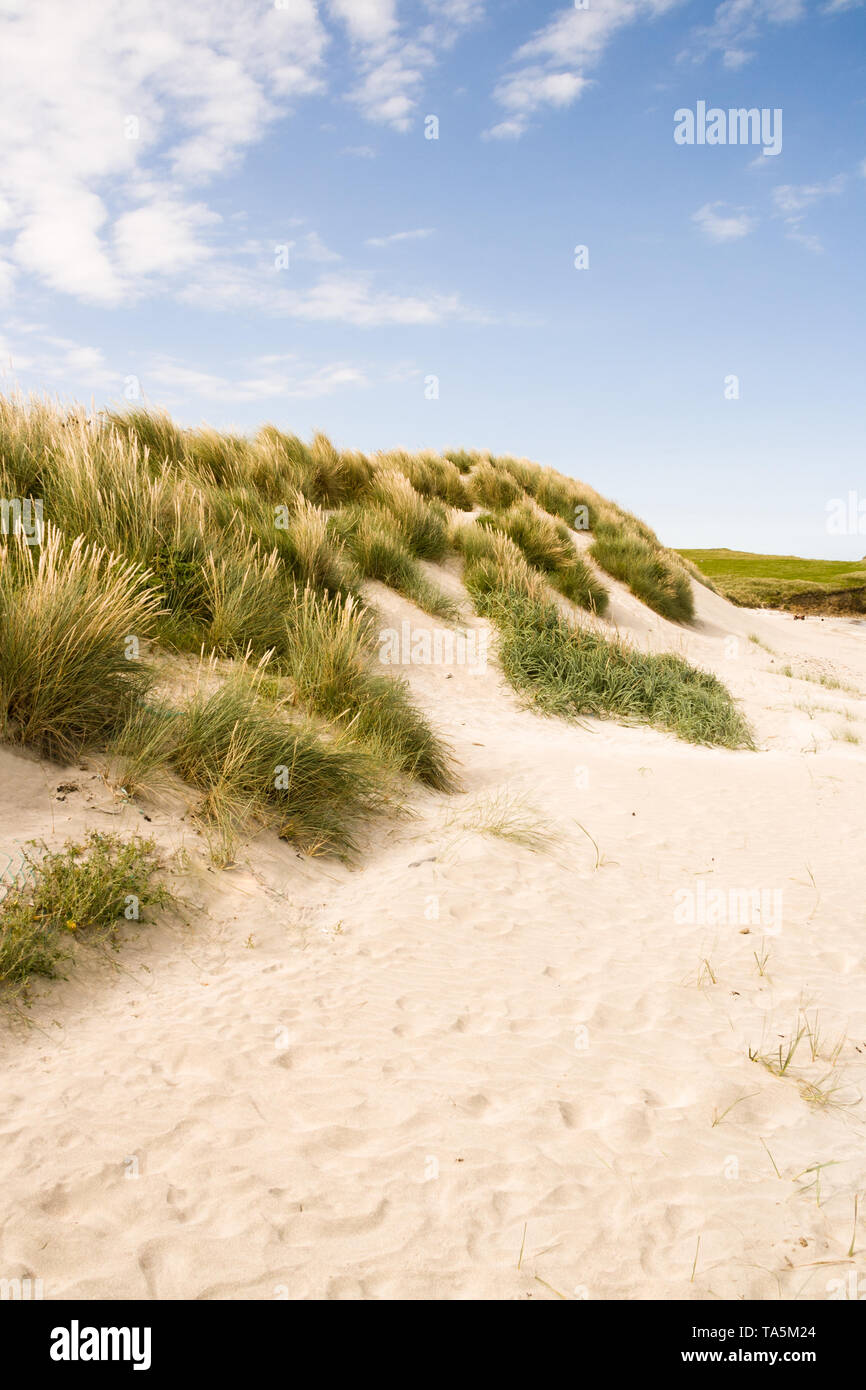 Spiggie Beach in Shetland Isles, North of Scotland UK Stock Photo - Alamy