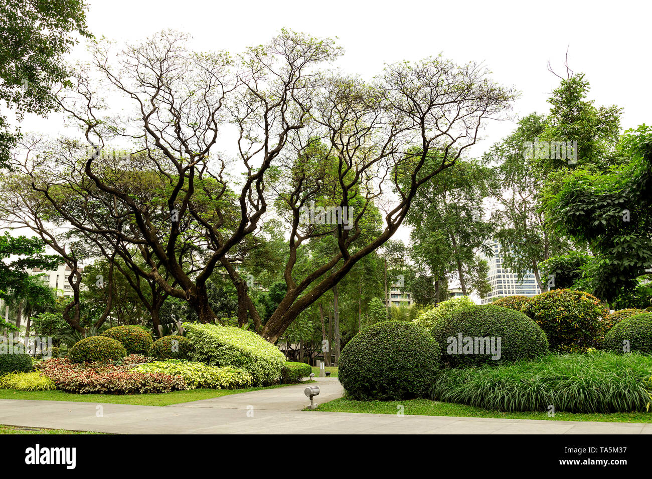 Philippine park hi-res stock photography and images - Alamy