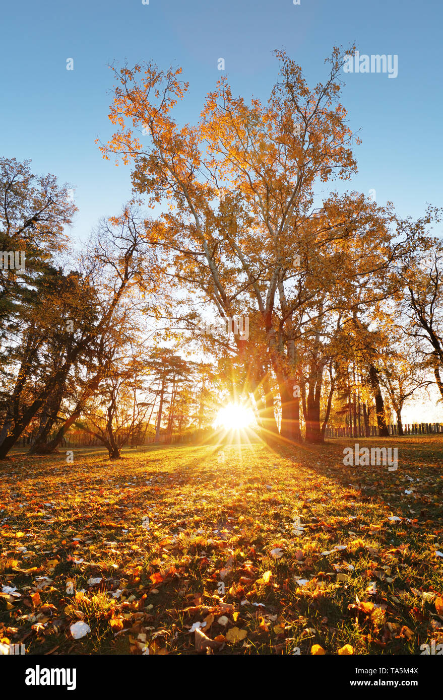 Outdoor autumn foliage scenery hi-res stock photography and images - Alamy