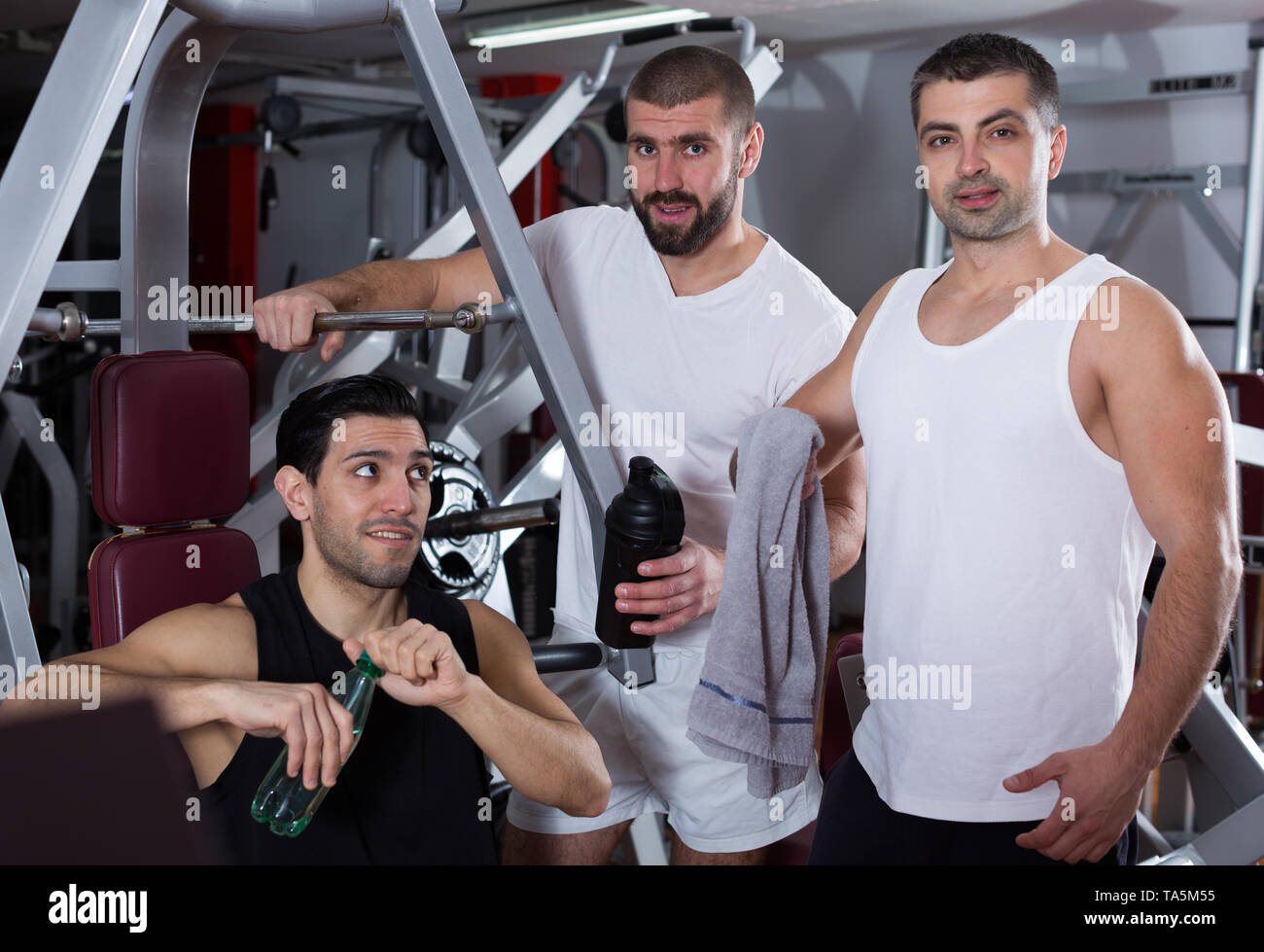 Portrait of three positive athletic male friends in modern gym Stock ...